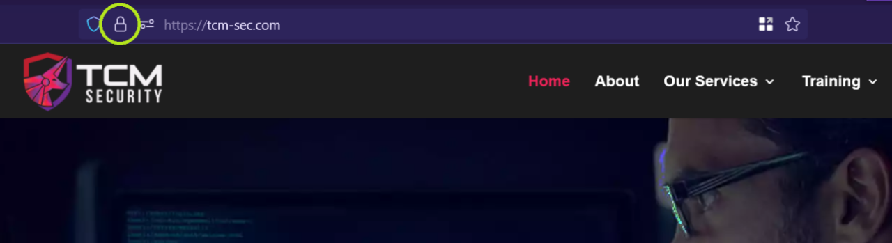 Safe Browsing: Essential Practices - TCM Security